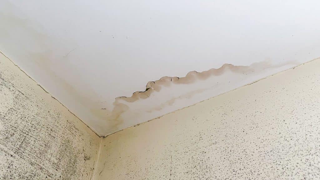 Ceiling Water Damage - Causes, Signs & Solutions - Pircsa Pty Ltd